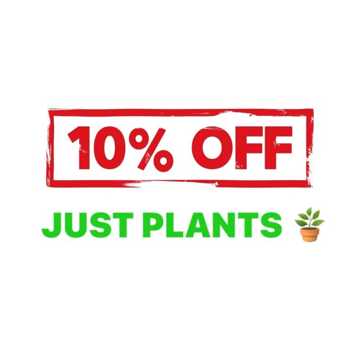 Stores | Affinity Staffs